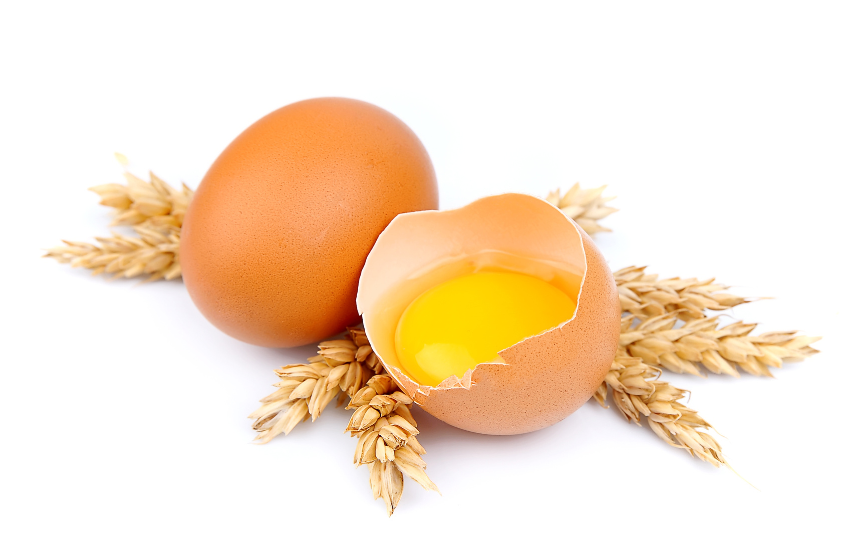 Czy jajka są zdrowe? | Greenlife Blog